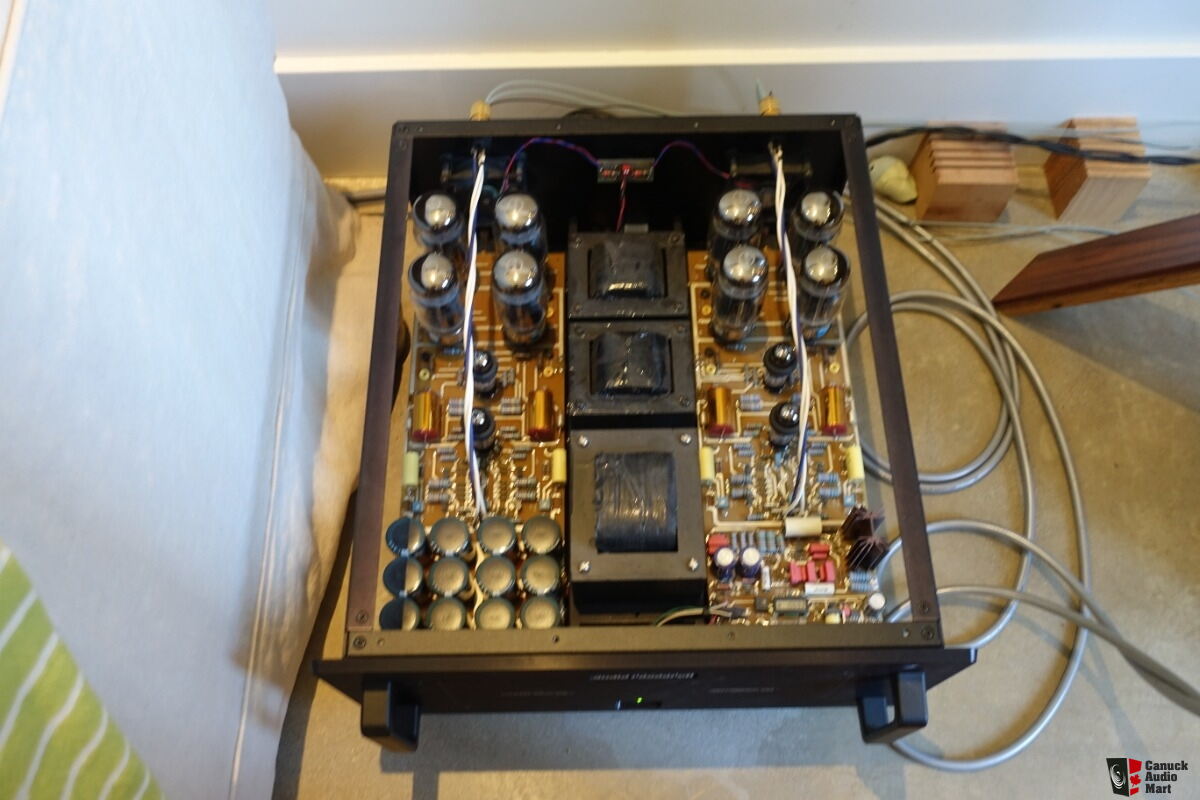 Audio Research Reference 110 Power Amp Photo #2648594 - Canuck Audio Mart