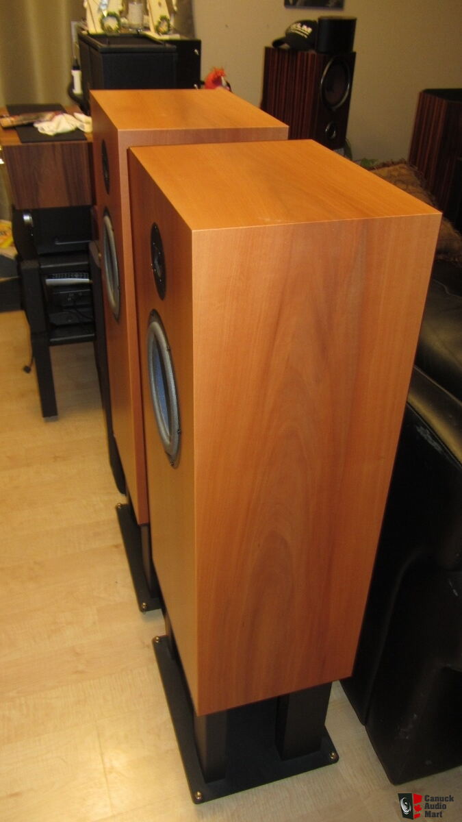 Audio Note AN-E/SPe HE speakers Photo #2664949 - Canuck Audio Mart
