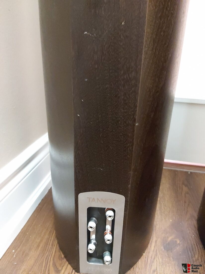 Tannoy Revolution Signature Standing Speakers Photo #2669245 - Canuck ...