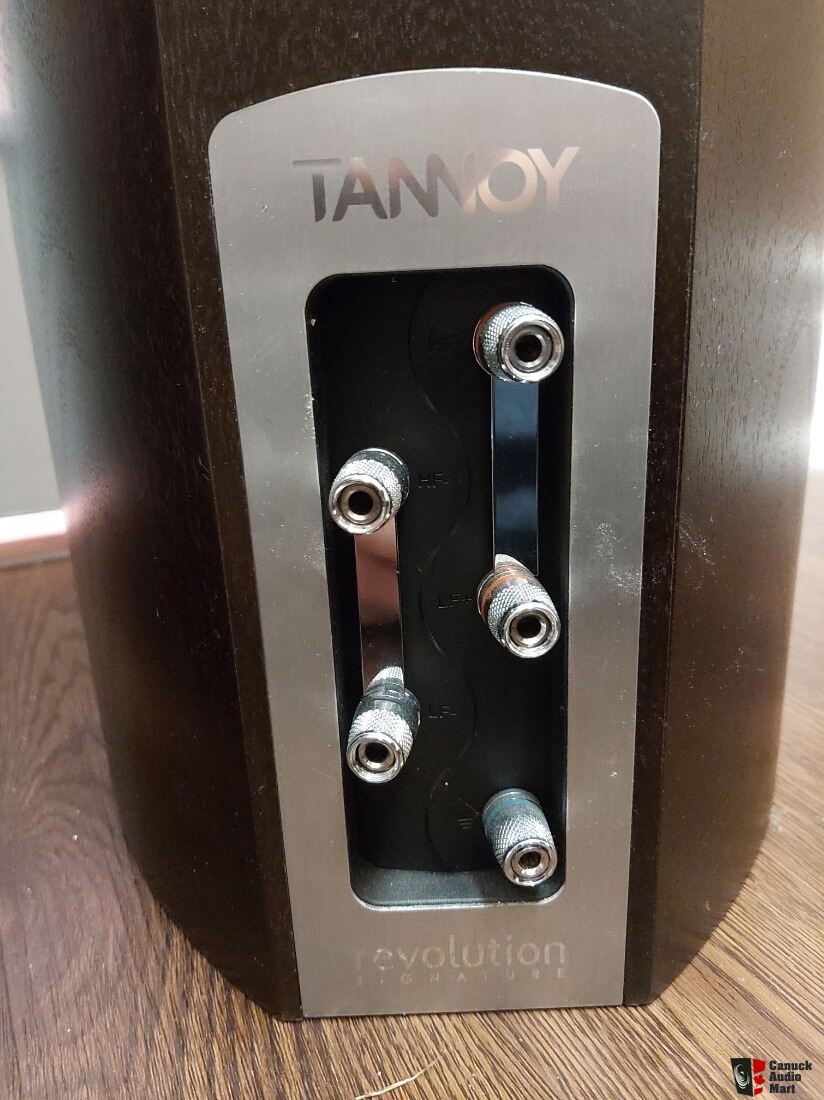 Tannoy Revolution Signature Standing Speakers Photo #2669245 - Canuck ...