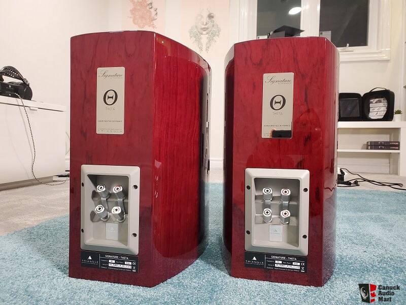 Triangle Signature Theta Bookshlef Speakers in Mahogany Finish Photo ...