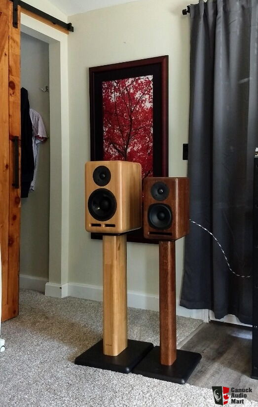 XAVIAN Perla Esclusiva Italian-Czech award-winning monitors - special ...