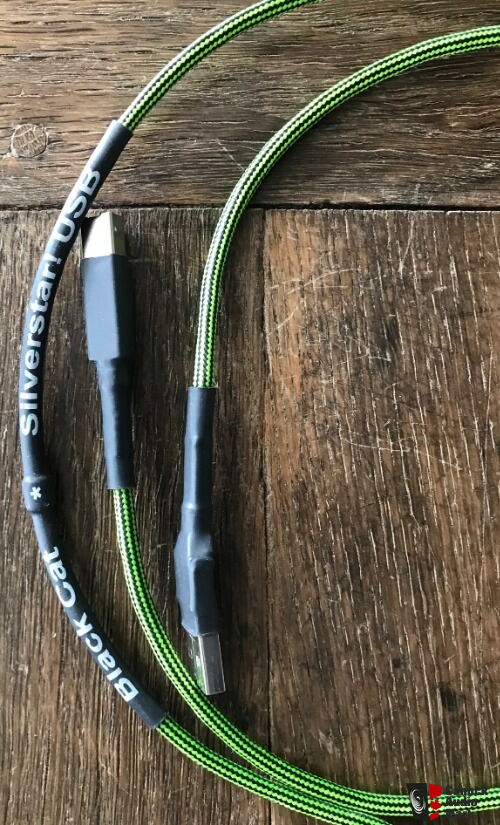 Black Cat Silverstar! USB Cable - Blue Moon Award Photo #2700887 ...