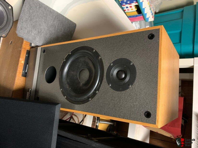 Paradigm Export Monitor ~ price reduced Photo #2701357 - US Audio Mart