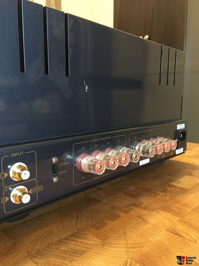 Primaluna Prologue Premium Power Amplifier Photo #2733731 - UK Audio Mart
