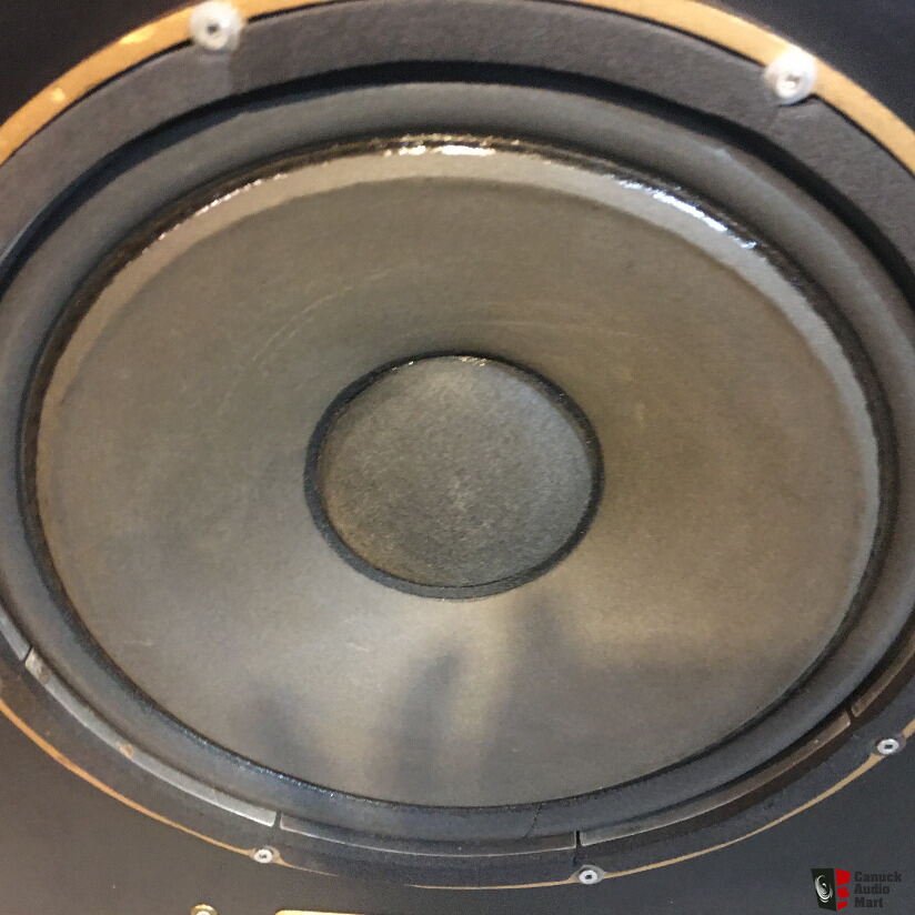 Tannoy blue Monitor Royal Loudspeaker 15-85 + crossover with custom ...