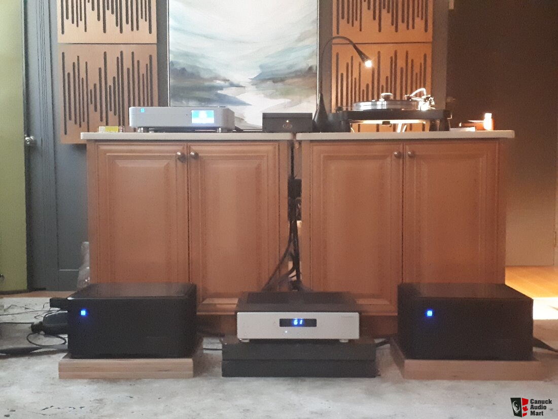 PS Audio BHK300 Mono Blocks - SALE PENDING TO SERGE Photo #2757992 ...
