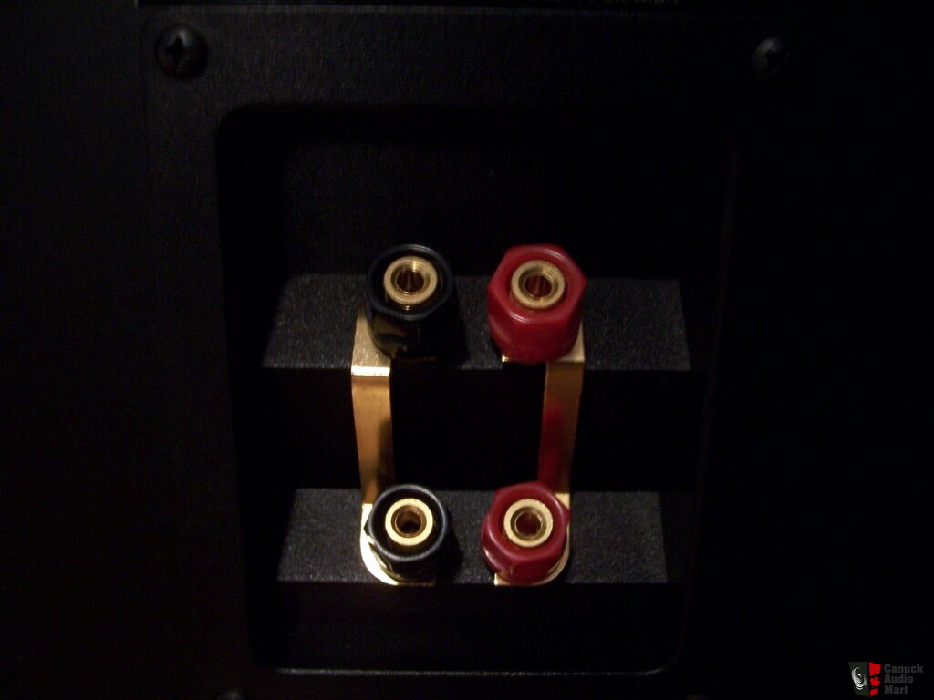 Pair of PARADIGM Reference 7seMk3 Speakers Photo #276550 - Canuck Audio ...