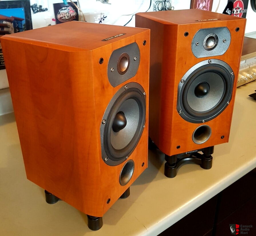 Focal 705s Chorus Bookself Speakers Photo #2768799 - Canuck Audio Mart