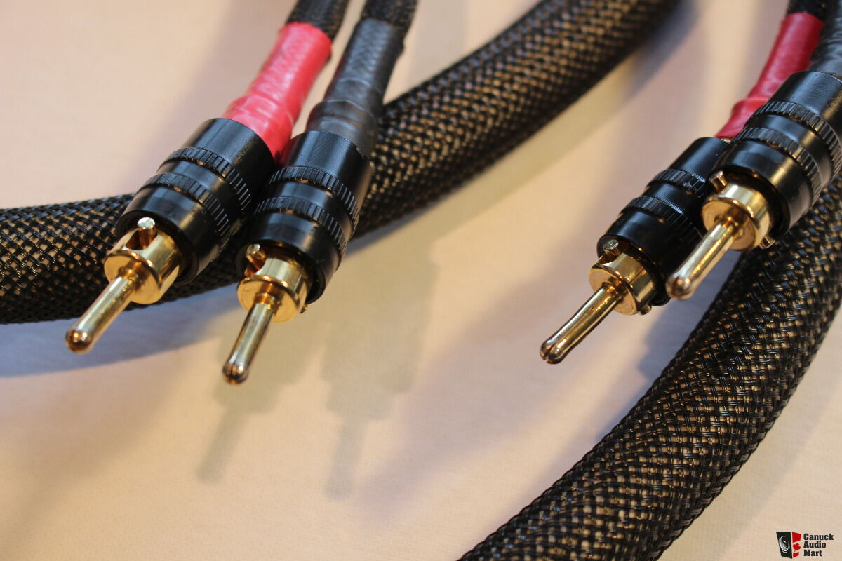 Transparent reference MM2 Speaker Cables , 8 ft. with locking banana ...