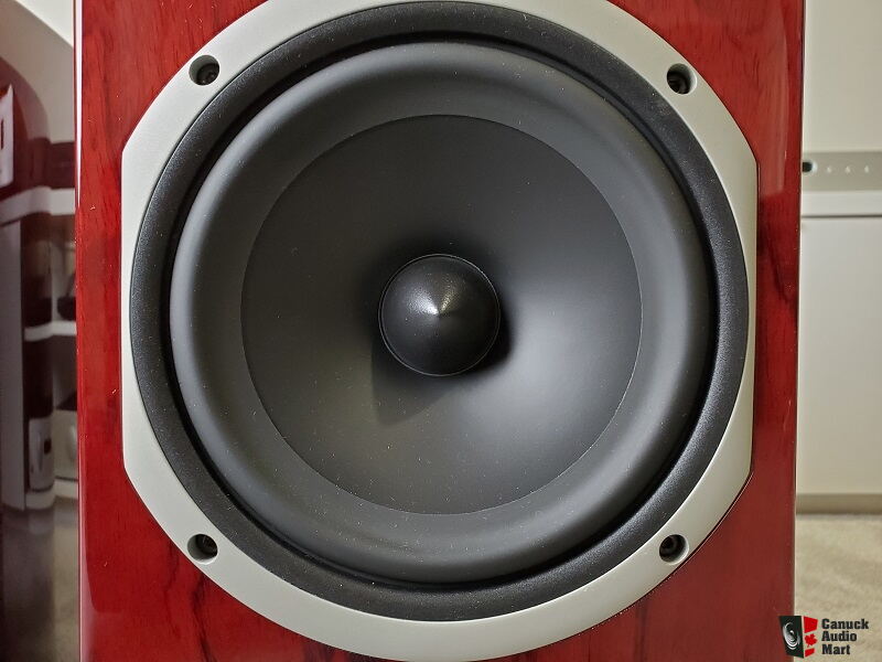 Triangle Signature Theta Bookshelf Speakers in Mahogany Photo #2782491 ...