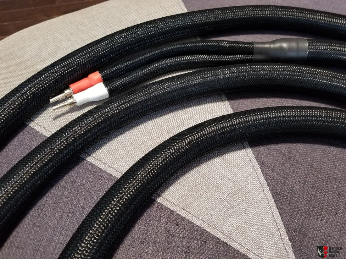 NRG Custom Cables "The 6:6" Speaker Cables-Pending Photo #2782762 ...