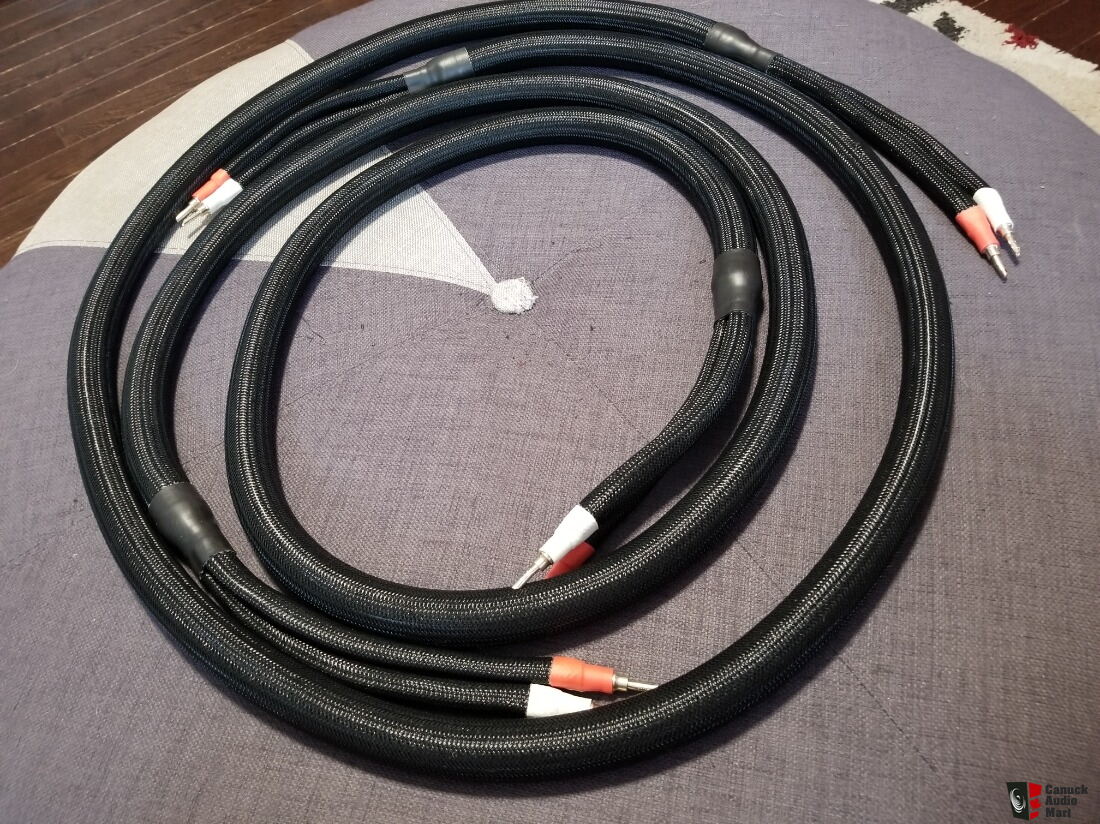 NRG Custom Cables "The 6:6" Speaker Cables-Pending Photo #2782762 ...