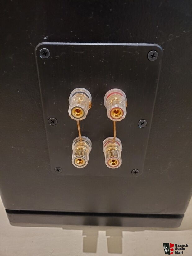 Morel MTM Speakers MW164 / MDT33 Custom Build Photo #2784461 - Canuck ...