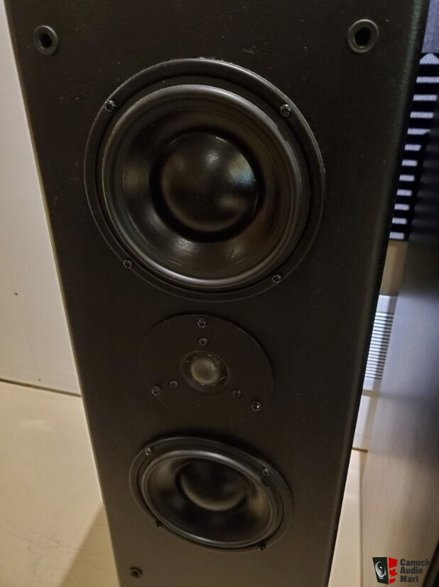 Morel MTM Speakers MW164 / MDT33 Custom Build Photo #2784461 - Canuck ...