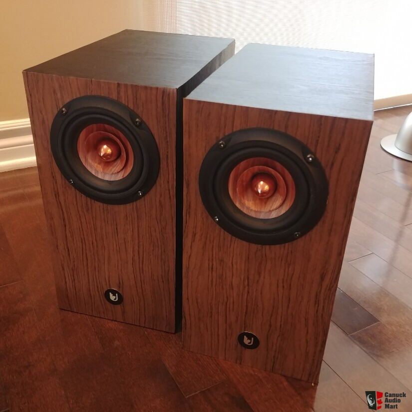 Unity Audio Inner Soul v2 monitors, custom finish, proceeds to cancer ...