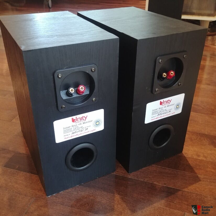 Unity Audio Inner Soul v2 monitors, custom finish, proceeds to cancer ...