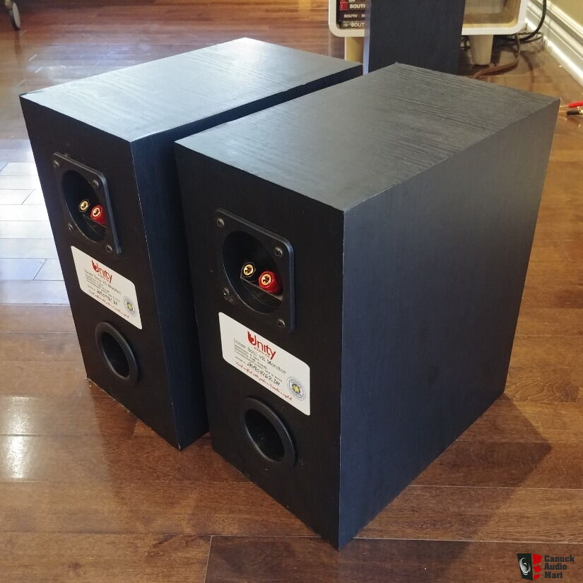 Unity Audio Inner Soul v2 monitors, custom finish, proceeds to cancer ...