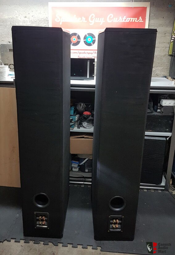 Paradigm Reference Eclipse BP Bipolar Tower Speakers Photo #2817548 ...