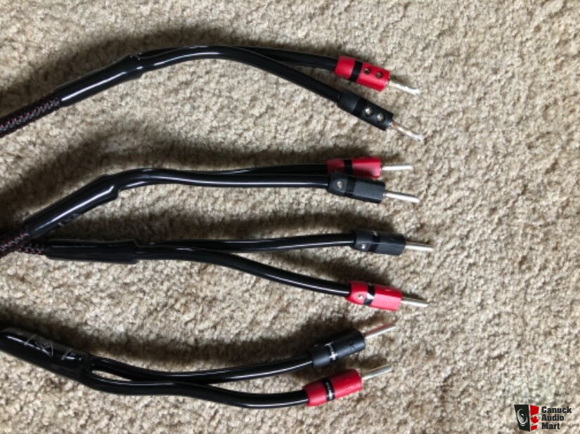 Audioquest Rocket 33 BFA/Banana Factory Prepared Speaker Cables (8ft ...