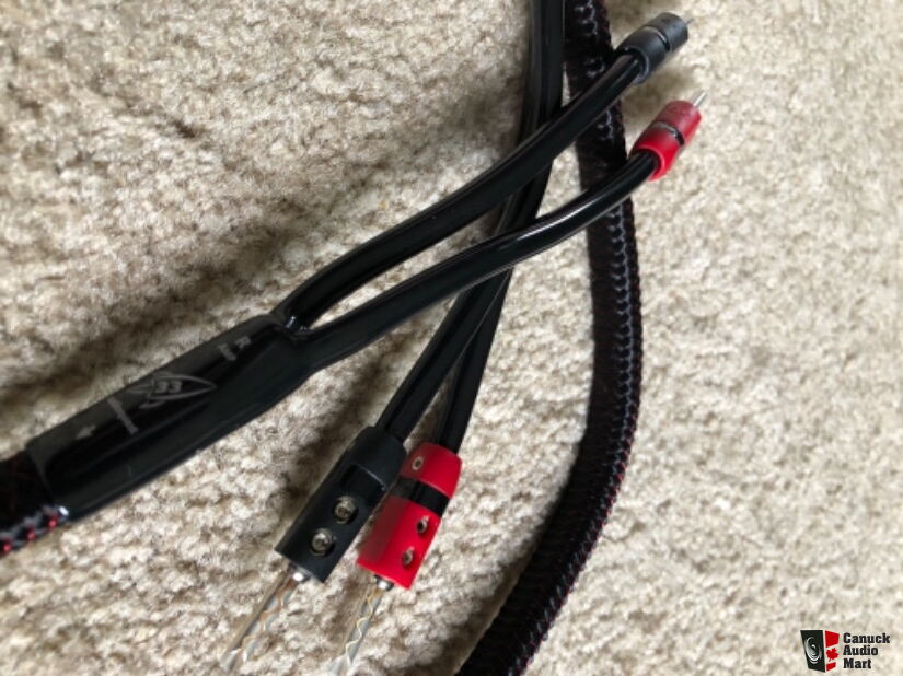 Audioquest Rocket 33 BFA/Banana Factory Prepared Speaker Cables (8ft ...
