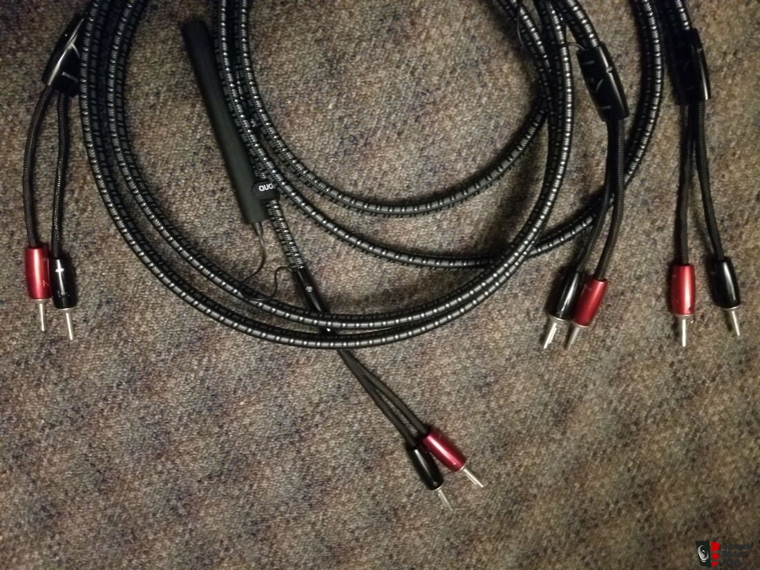 Audioquest K2 2.5m Speaker Cables with 500 Series Banana Plugs at both ...