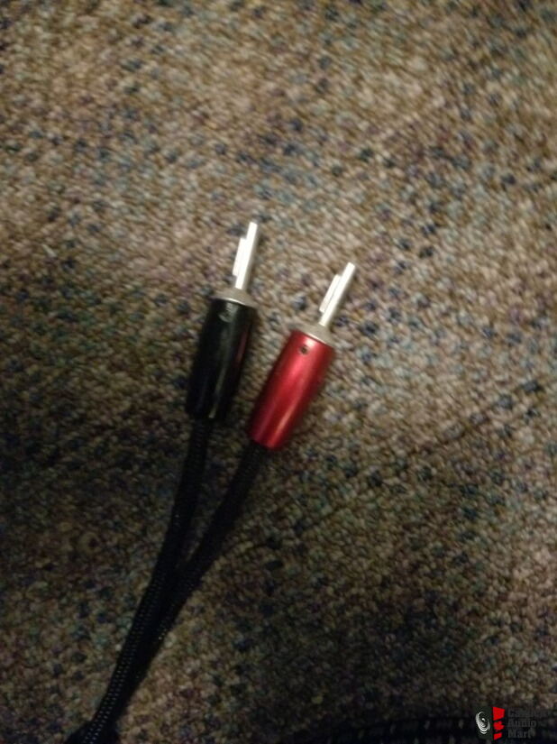 Audioquest K2 2.5m Speaker Cables with 500 Series Banana Plugs at both ...