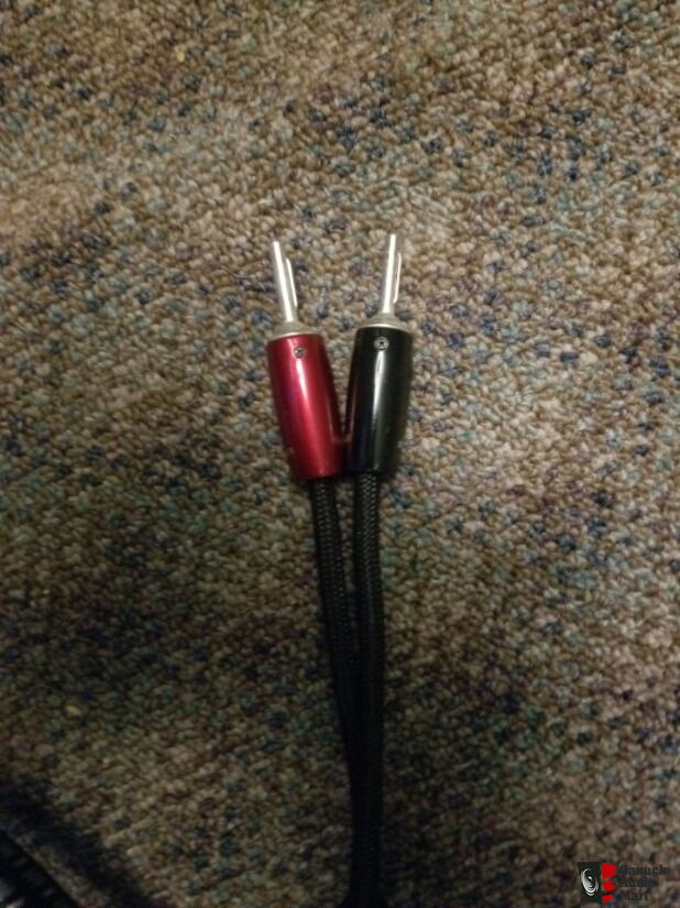 Audioquest K2 2.5m Speaker Cables with 500 Series Banana Plugs at both ...