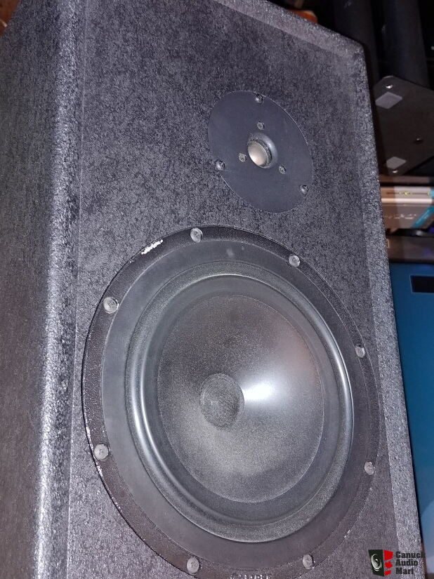 Camber 3.0 ti Speakers [Canadian Photo #2846376 - Canuck Audio Mart