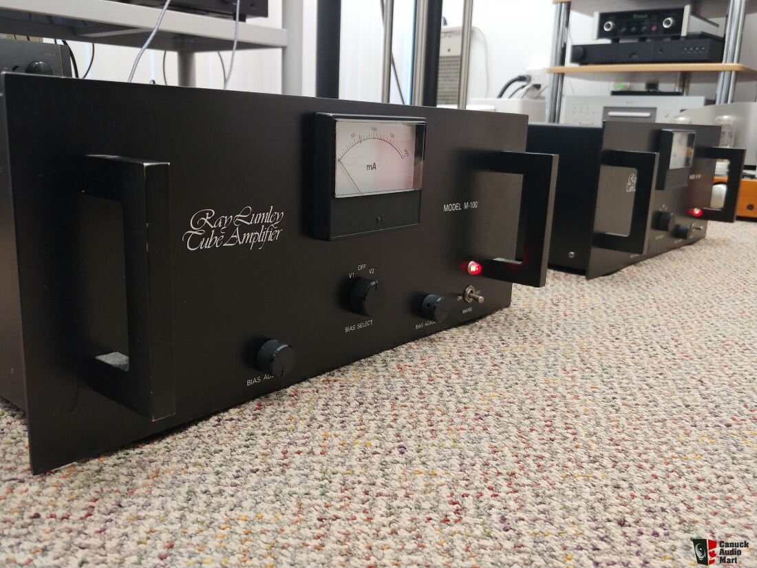 Sale Pending. Ray Lumley M100 Tube Monoblock Amps. Amazing Value Photo ...