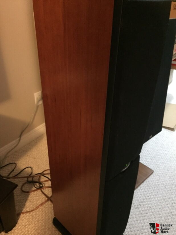 POLK Audio Tower Speakers RT1000i Photo #2861631 - UK Audio Mart