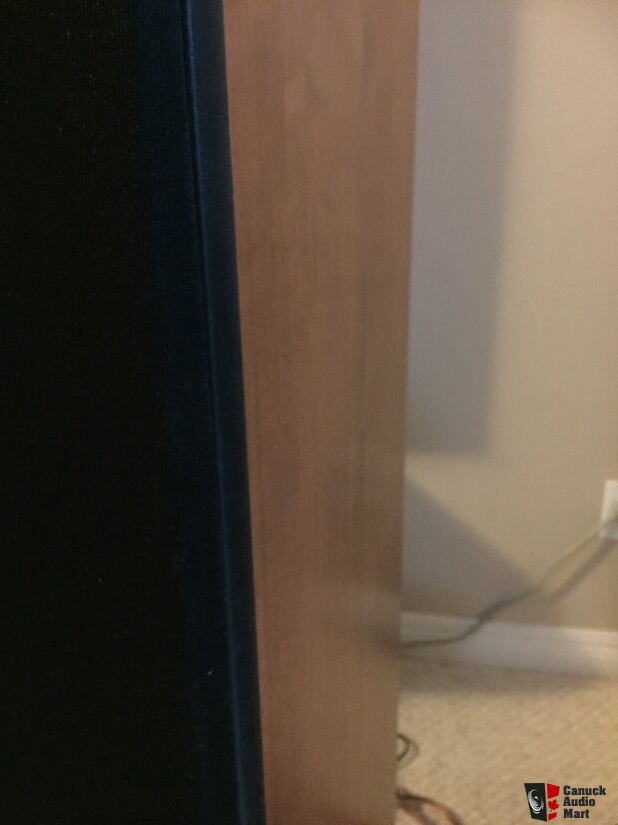 POLK Audio Tower Speakers RT1000i Photo #2861632 - UK Audio Mart