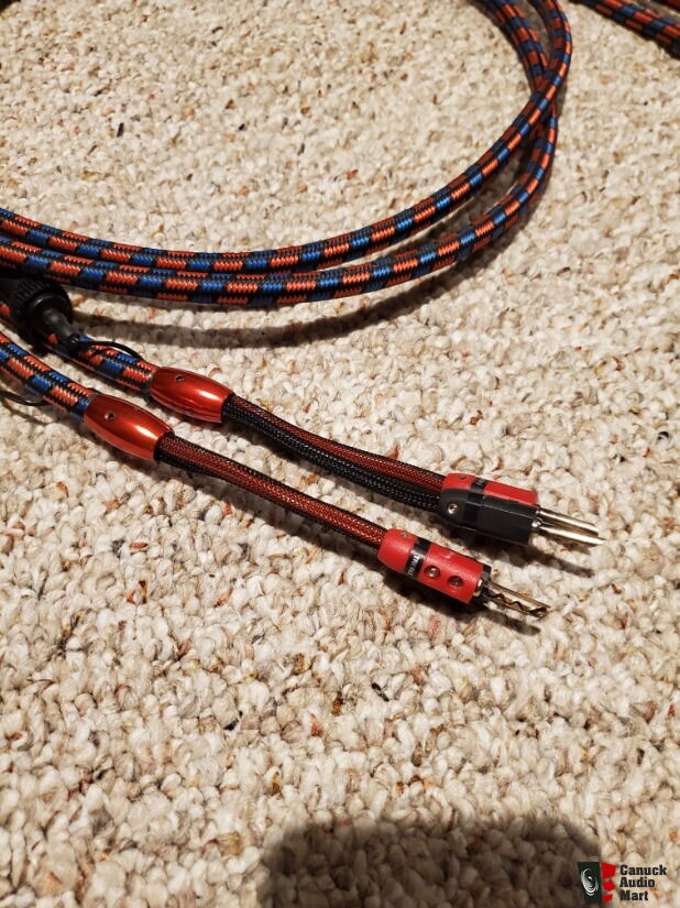 Audioquest CV6 Bi-Wire Speaker Cables Photo #2865402 - US Audio Mart