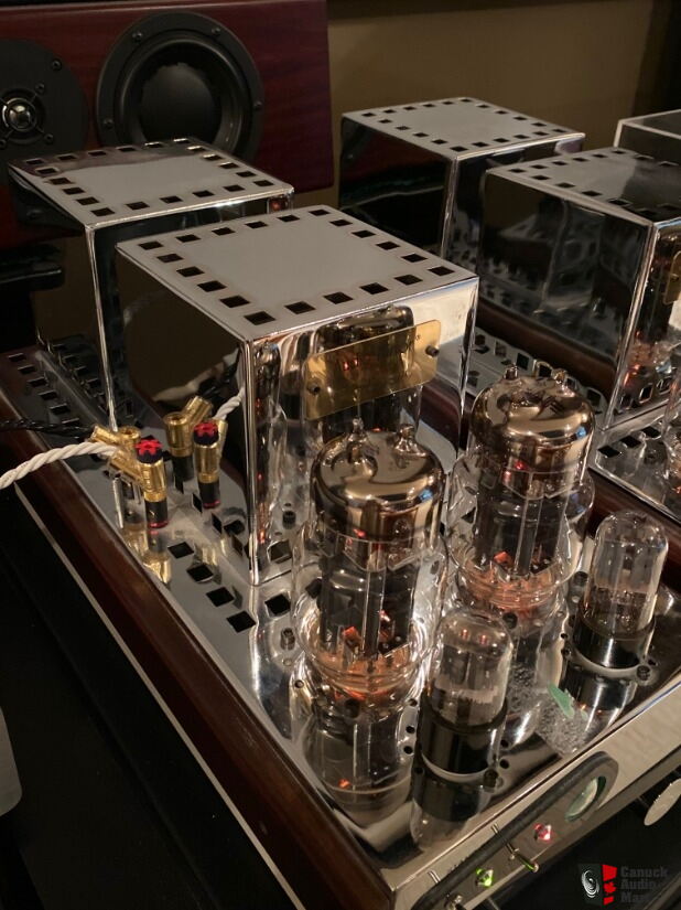 Audio Mirror- Eargasm series-20 watt all triode parallel SET (single ...