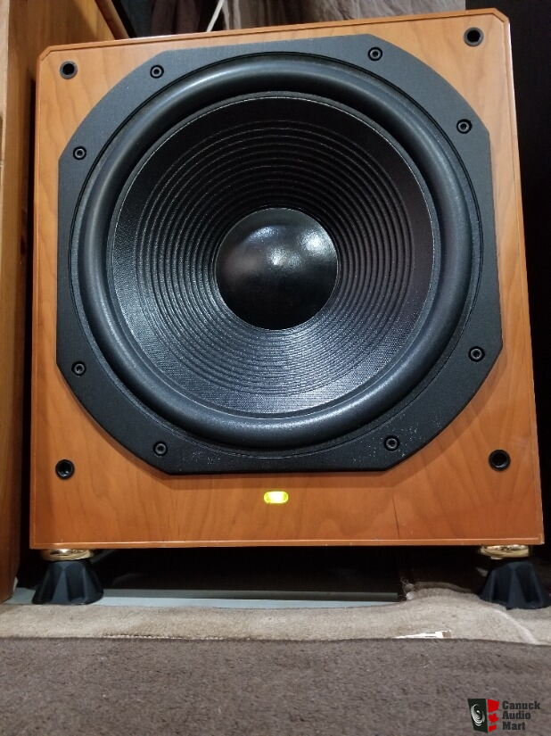 Dual Paradigm Reference Studio 15A Servo in Rare Light Cherry with 2 x ...