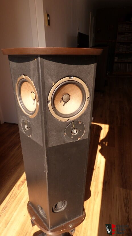 dcm time window Photo #2885550 - Canuck Audio Mart