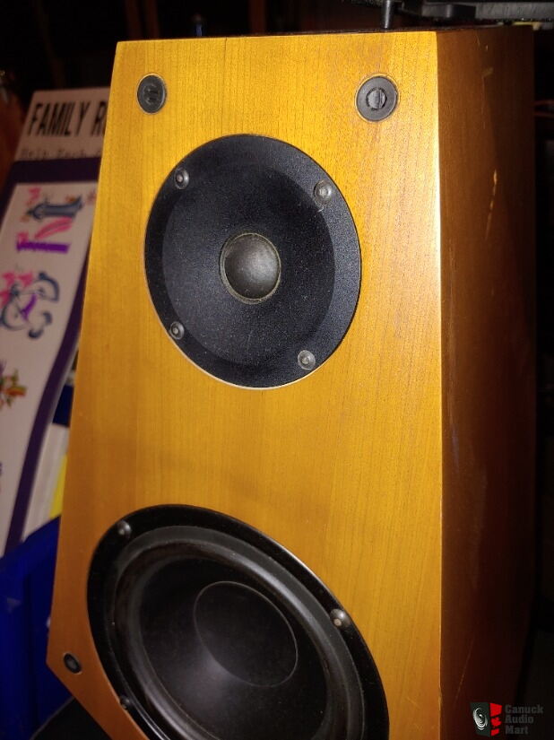 Sony SS M3 Speakers Photo #2890395 - Canuck Audio Mart