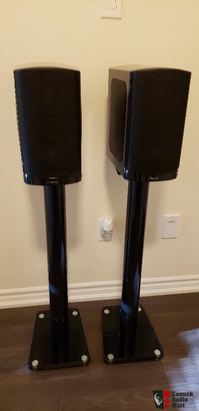 Goldenear BRX Bookshelf speakers Photo #2905420 - Canuck Audio Mart