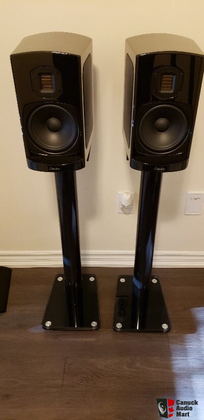 Goldenear BRX Bookshelf speakers Photo #2905421 - Canuck Audio Mart