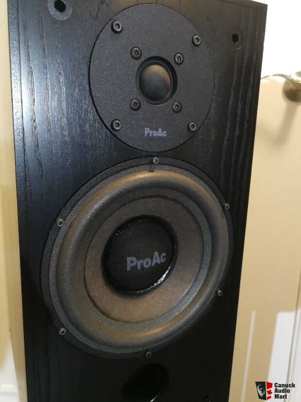ProAc Studio 1 MKII Photo #2922019 - Canuck Audio Mart