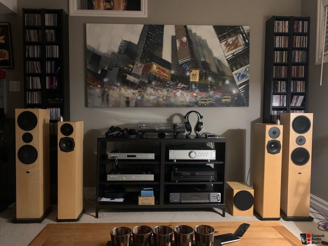 LINN Ninka speakers with Linn cables Photo #2932062 - UK Audio Mart