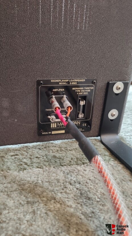 Magnepan magneplanar Super MMG (MMG + DWM bass panel) Photo #2934681 ...