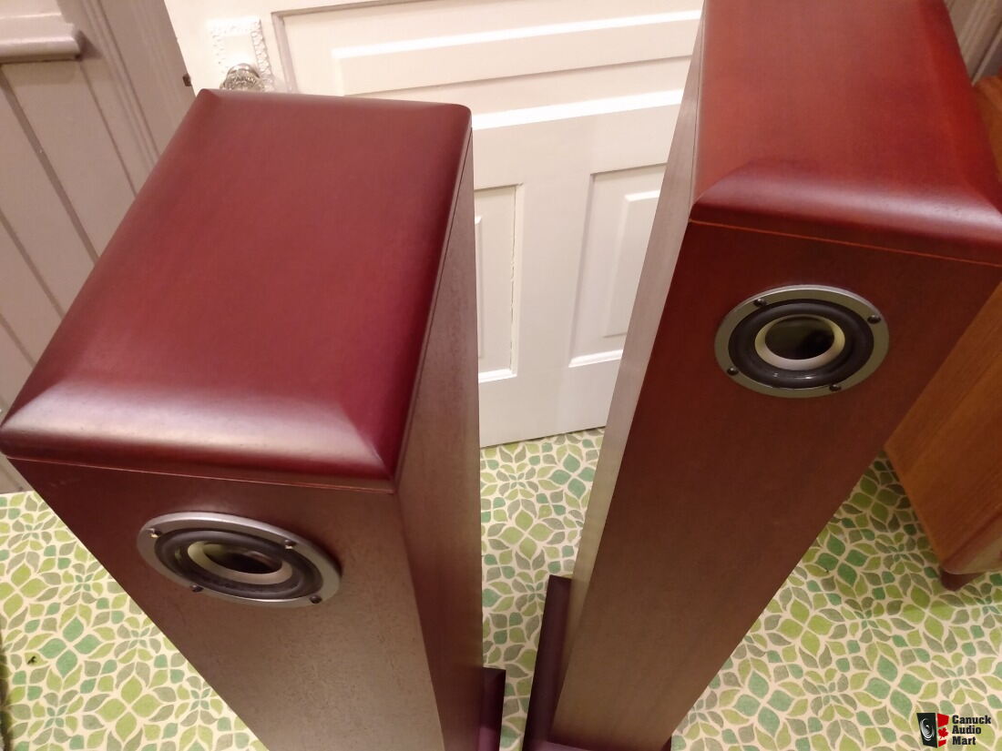 Acoustic Technologies Classic single driver Titanium speakers in ...
