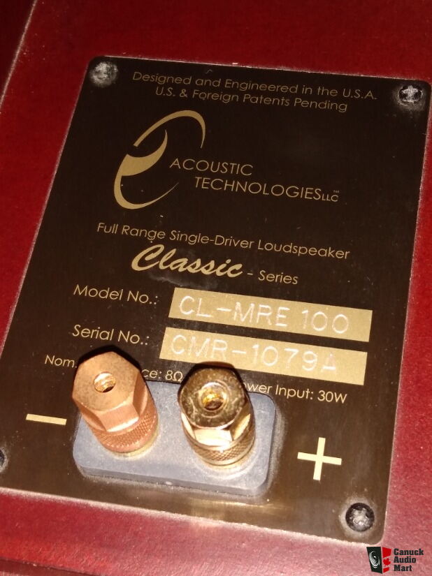 Acoustic Technologies Classic single driver Titanium speakers in ...