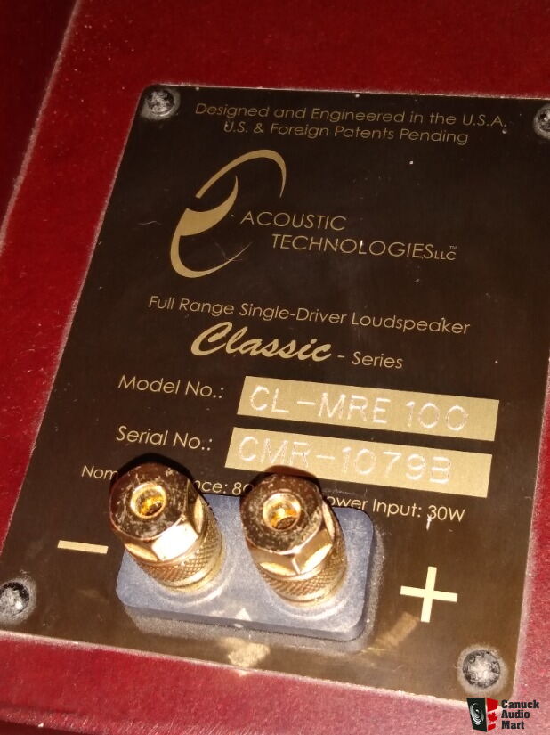 Acoustic Technologies Classic single driver Titanium speakers in ...