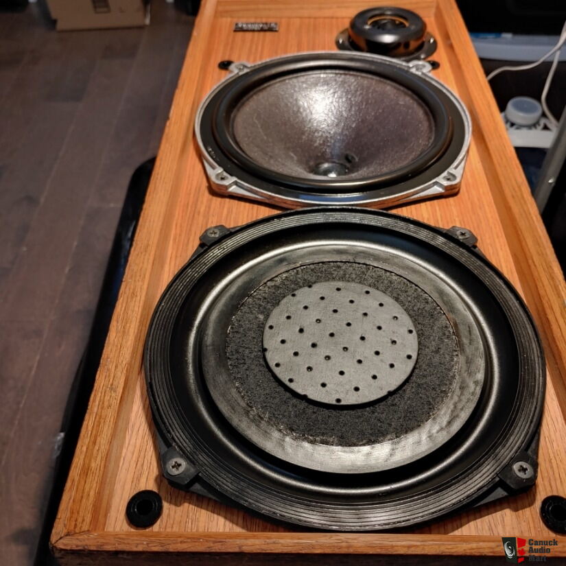 Celestion Ditton 15 Photo #2963886 - US Audio Mart