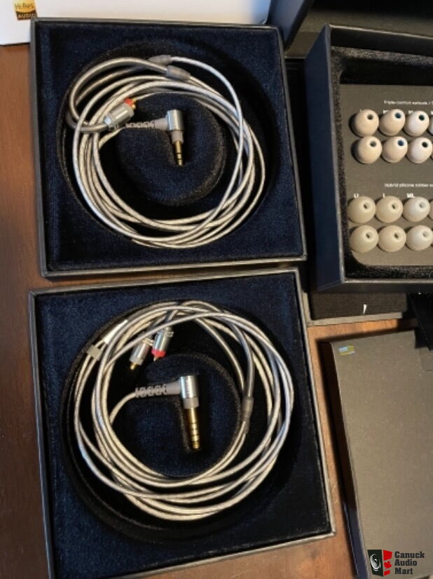Sony IER-Z1R Flagship IEM Photo #2970121 - Canuck Audio Mart