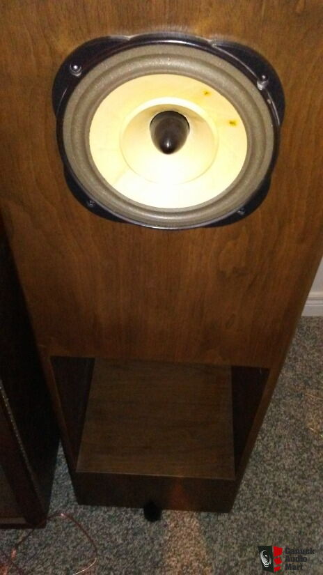 Lowther pm 5A in Madellion 2 cabinets with Totem claws Photo #2860324 ...