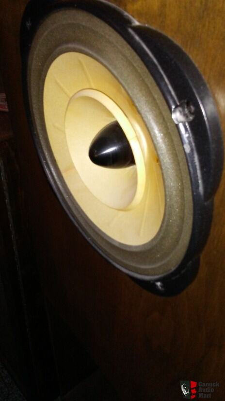 Lowther pm 5A in Madellion 2 cabinets with Totem claws Photo #2860324 ...