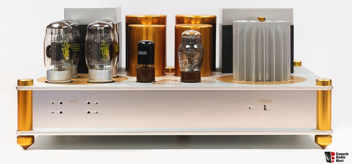 Pair of Matisse Power Amplifier / Reference Mono Photo #2996534 ...